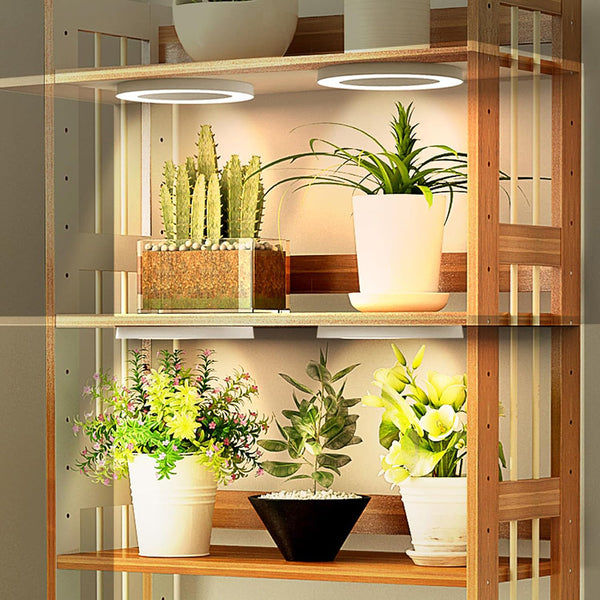 Ceiling Grow Light for Indoor Plants – nextdealshop.co.uk