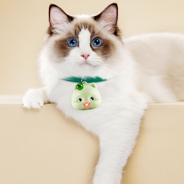Rechargeable Cat Collar Laser Toy with Remote – nextdealshop.co.uk