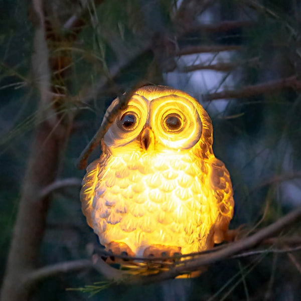 Solar Powered LED Owl Statue – nextdealshop.co.uk