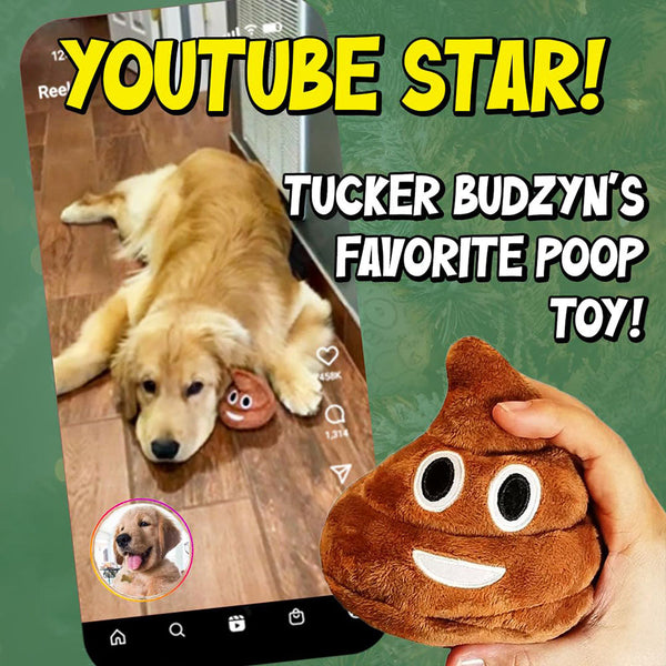 Funny Plush Poop Toy with Fart Sound – nextdealshop.co.uk