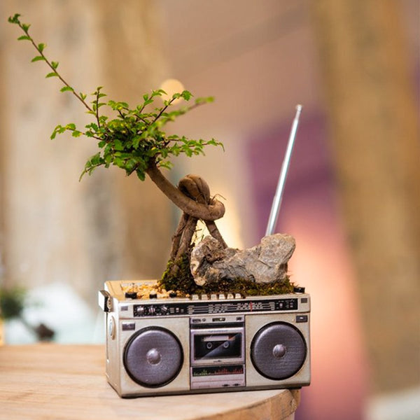 Retro Radio Flower Pot – nextdealshop.co.uk