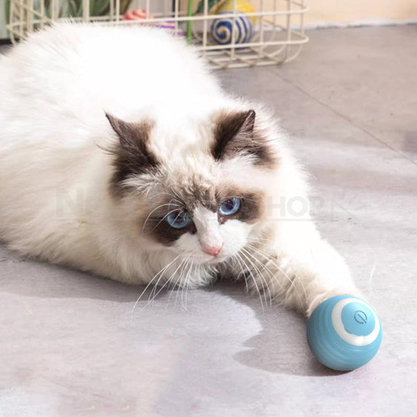 Rechargeable Self-Rolling Pet Toy Ball – nextdealshop.co.uk