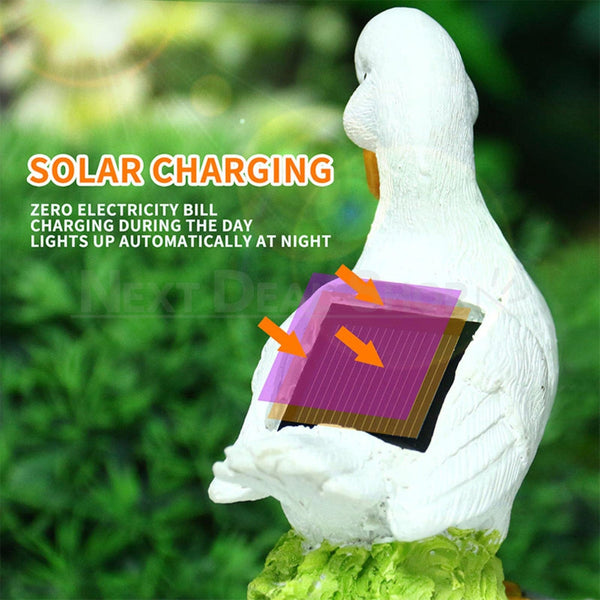 Solar Powered LED Duck Light – nextdealshop.co.uk