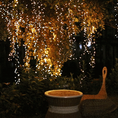 Solar-Powered Firecracker LED String Lights – nextdealshop.co.uk